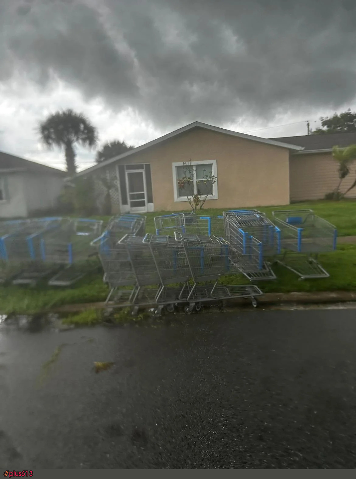 plus613 - culture in the blender - Flor'da