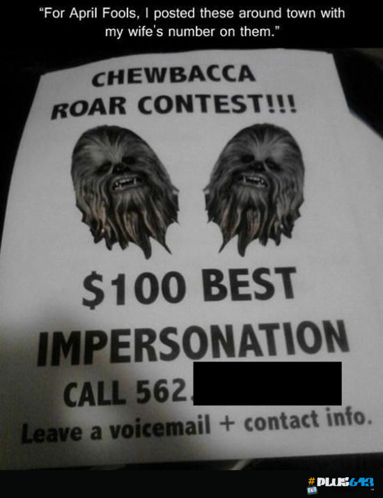 plus613 - culture in the blender - Preferably call after 3am